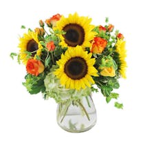 Hollywood FL Same Day Flower Delivery | Al's Florist Hollywood