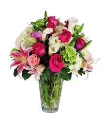 Hollywood FL Same Day Flower Delivery | Al's Florist Hollywood