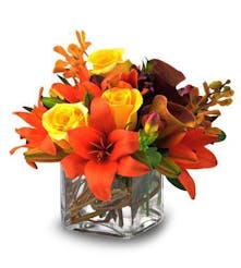Hollywood FL Same Day Flower Delivery | Al's Florist Hollywood